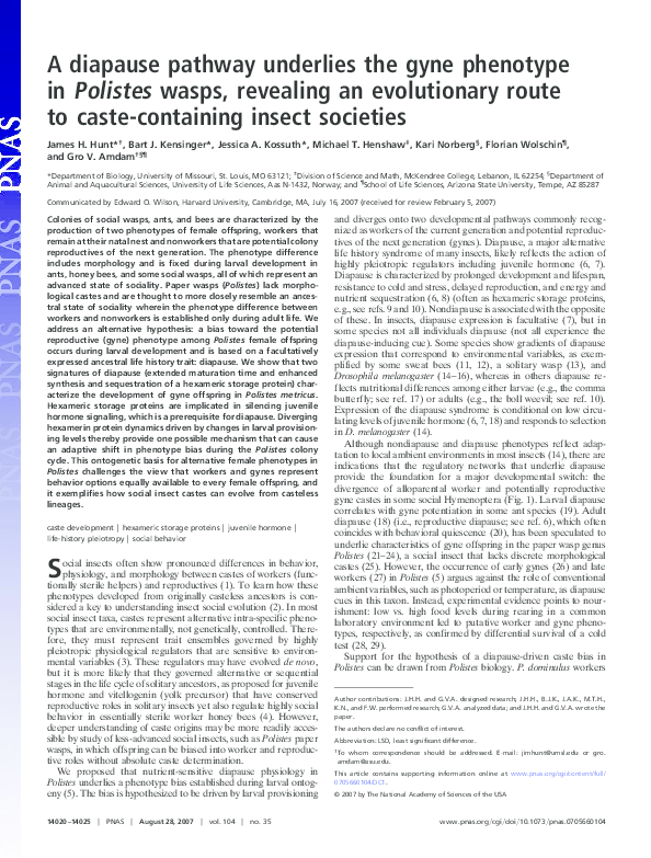 (PDF) A diapause pathway underlies the gyne phenotype in Polistes wasps ...