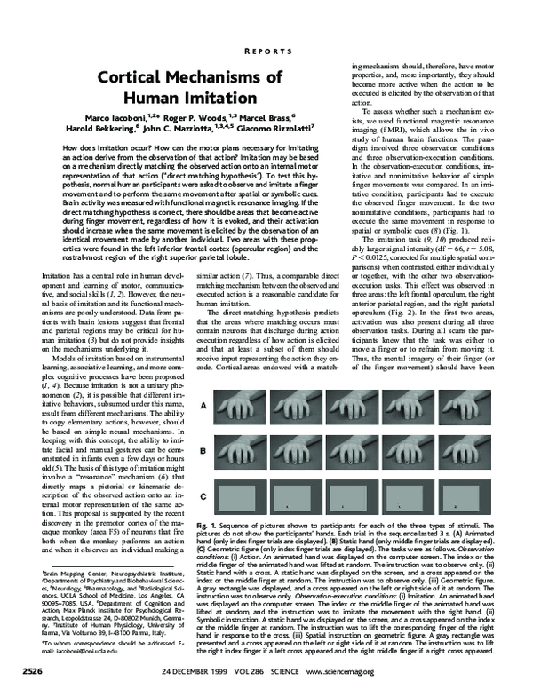 (PDF) Cortical Mechanisms of Human Imitation