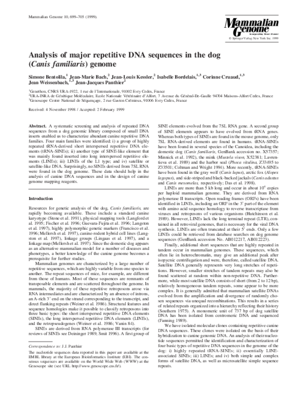 (PDF) Analysis of major repetitive DNA sequences in the dog ( Canis ...