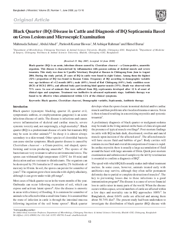 (PDF) Black Quarter (BQ) Disease in Cattle and Diagnosis of BQ ...