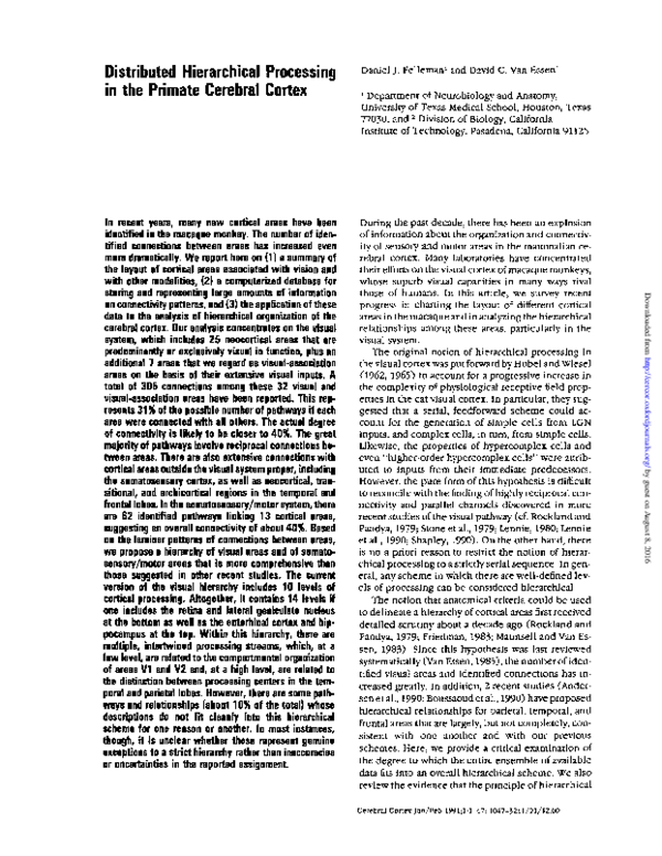 (PDF) Distributed Hierarchical Processing in the Primate Cerebral Cortex
