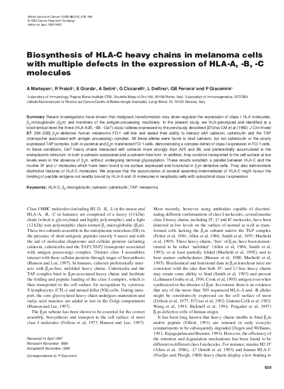 (PDF) Biosynthesis of HLA-C heavy chains in melanoma cells with ...