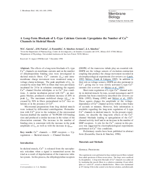 (PDF) The Ca channel in skeletal muscle is a large pore | Wolfhard ...