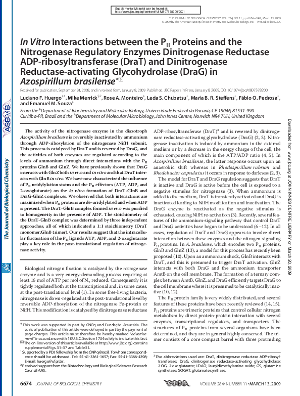 (PDF) Interactions of PII Proteins with Nitrogenase Regulatory Enzymes