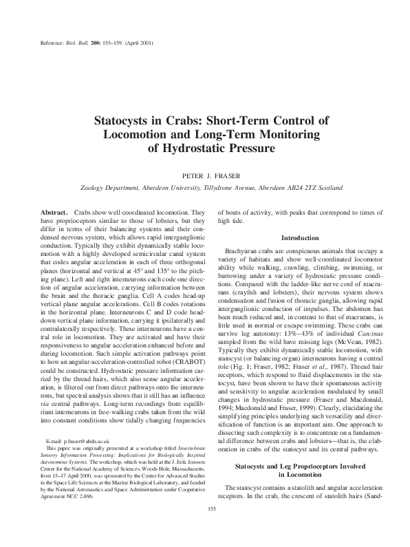 (PDF) Statocysts in Crabs: Short-Term Control of Locomotion and Long ...