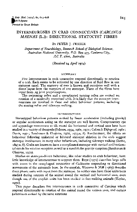 (PDF) Interneurones in Crab Connectives (Carcinus Maenas (L ...