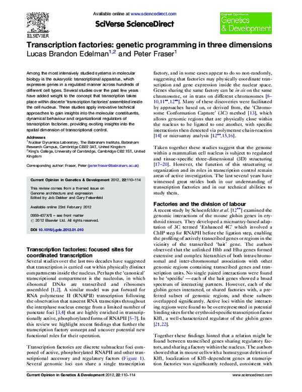 (PDF) Transcription factories: genetic programming in three dimensions