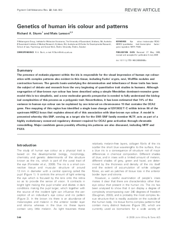 (PDF) Genetics of human iris colour and patterns