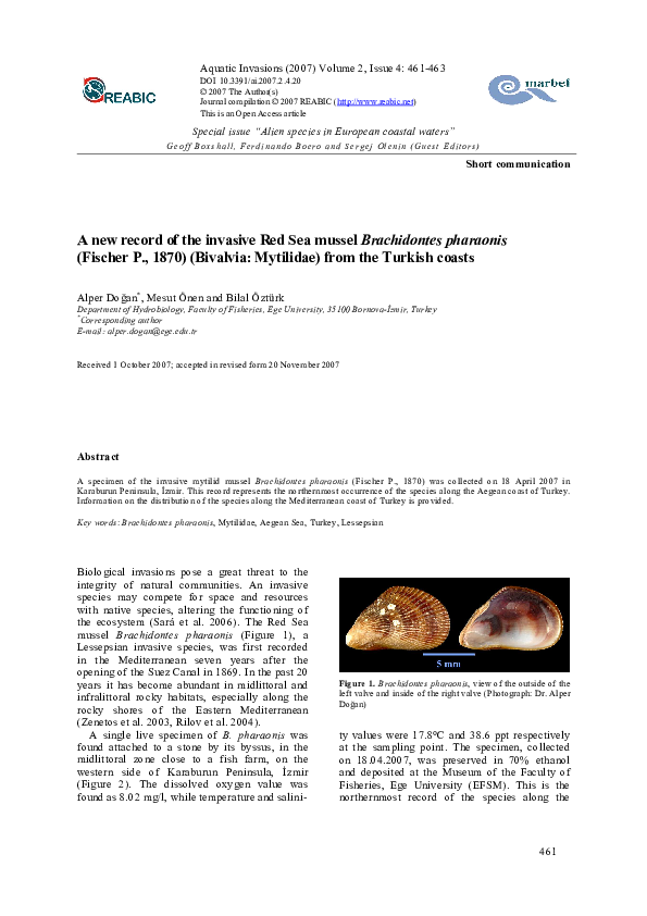 (PDF) A new record of the invasive Red Sea mussel Brachidontes ...