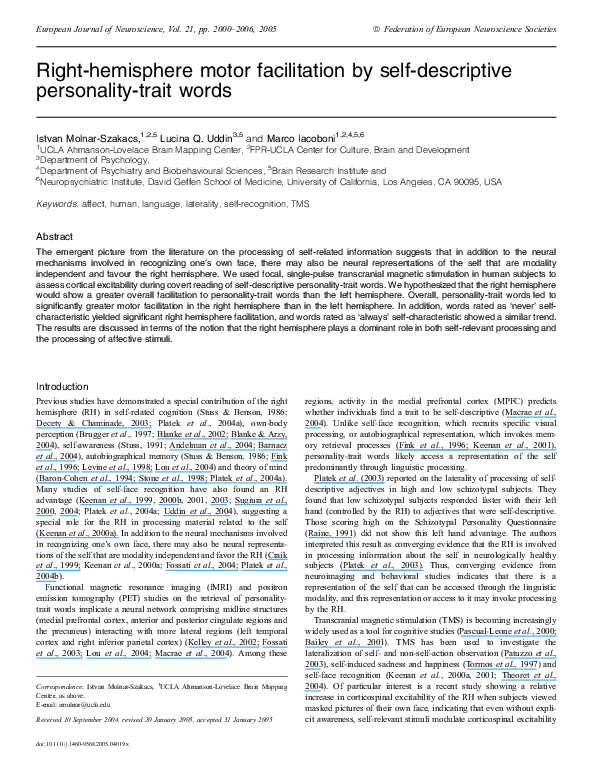(PDF) Right-hemisphere motor facilitation by self-descriptive ...