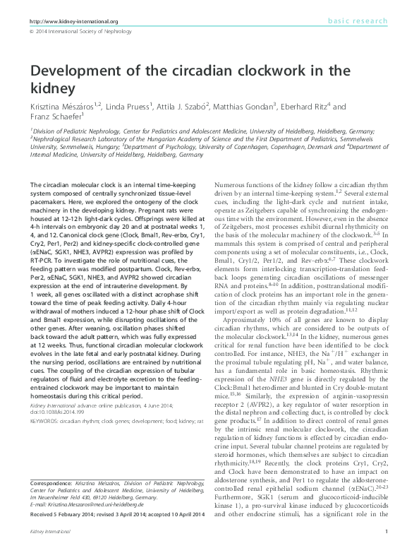 (PDF) Circadian Clock Development in Kidney