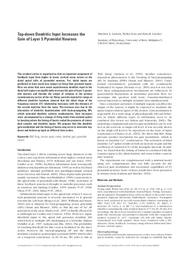 Pdf Top Down Dendritic Input Increases The Gain Of Layer 5 Pyramidal Neurons