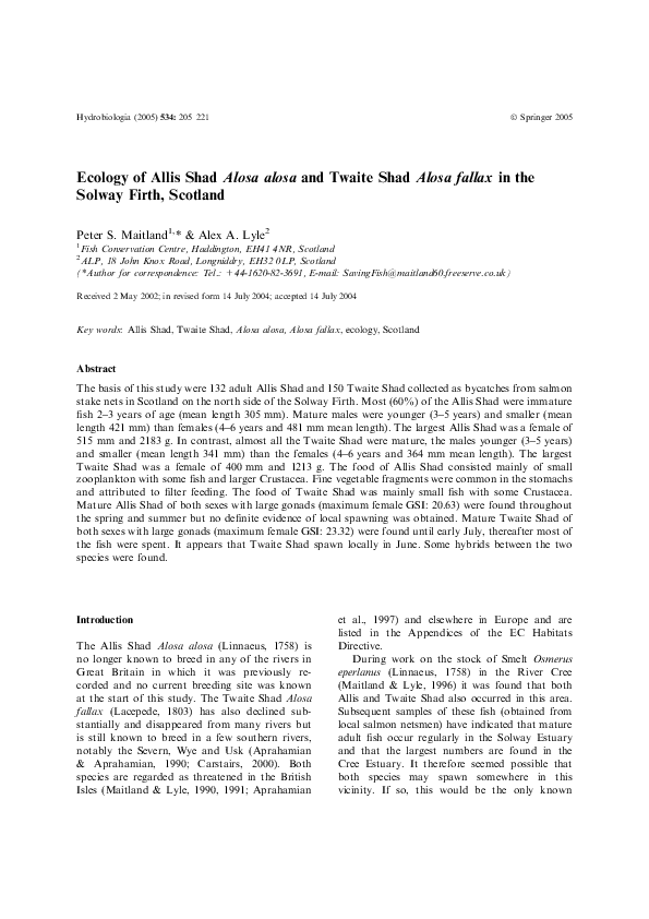 (PDF) Ecology of Allis Shad Alosa alosa and Twaite Shad Alosa fallax in ...