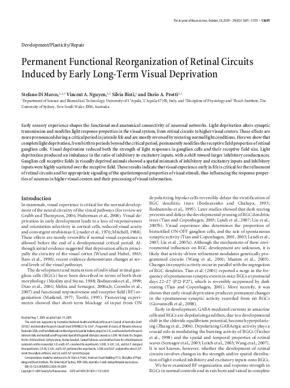 (PDF) Permanent Functional Reorganization of Retinal Circuits Induced ...