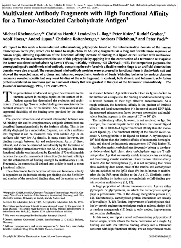 Multivalent antibody fragments with high functional affinity for a ...