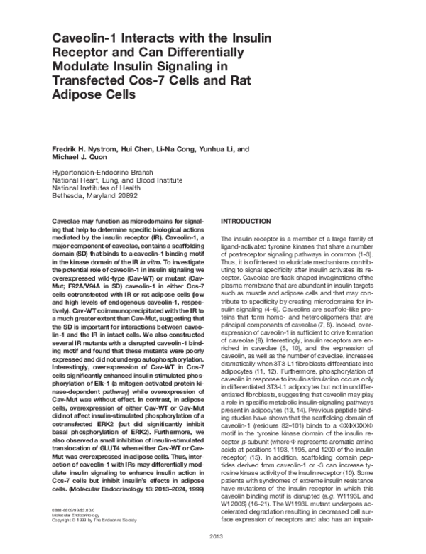 (PDF) Caveolin 1 Modulates Aldosterone-Mediated Pathways of Glucose and ...