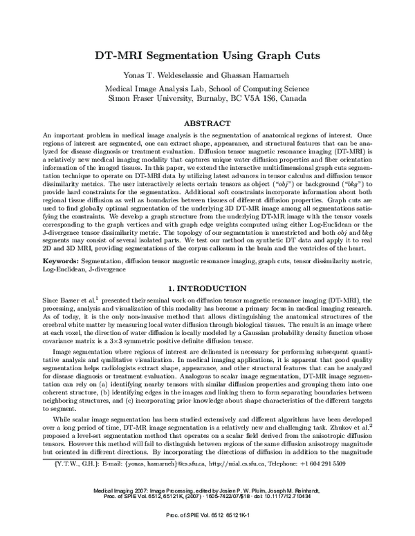 (PDF) DT-MRI segmentation using graph cuts