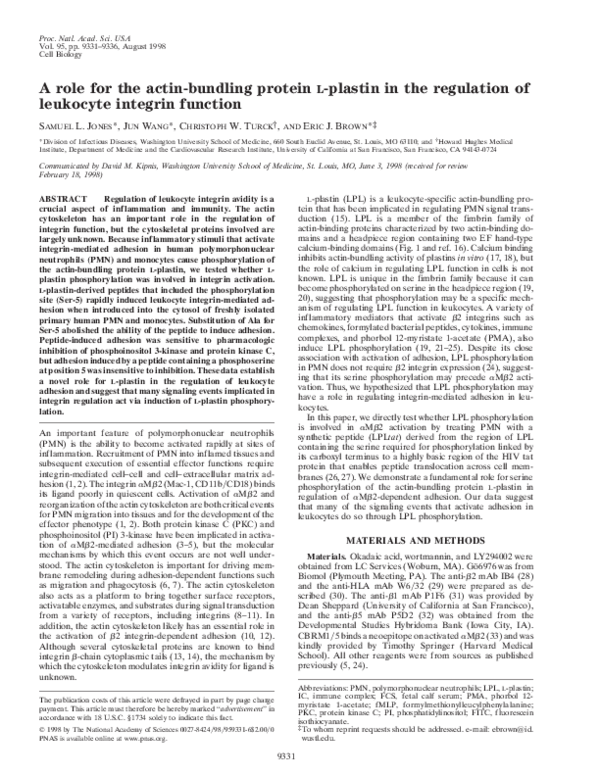 (PDF) A role for the actin-bundling protein L-plastin in the regulation ...