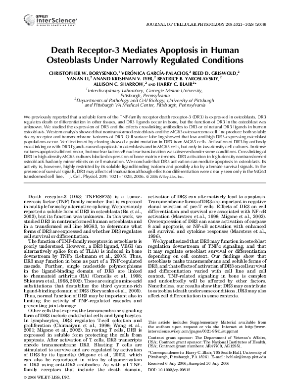 (PDF) Death receptor-3 mediates apoptosis in human osteoblasts under ...