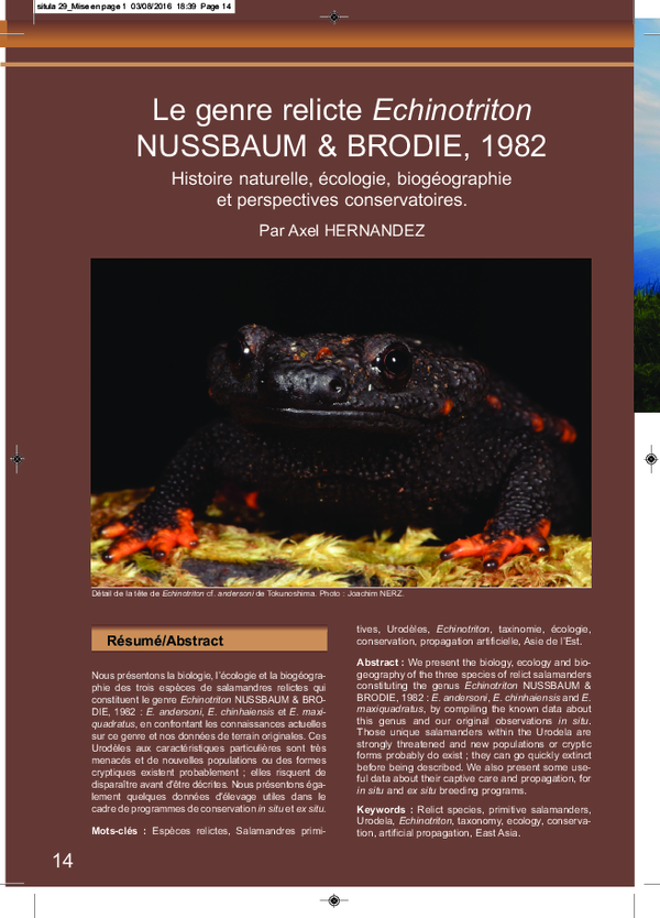 (PDF) Le genre relicte Echinotriton NUSSBAUM & BRODIE, 1982 : Histoire ...