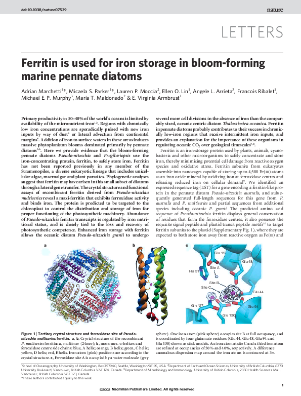 (PDF) Ferritin is used for iron storage in bloom-forming marine pennate ...