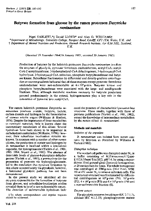 (PDF) Butyrate formation from glucose by the rumen protozoon Dasytricha ...