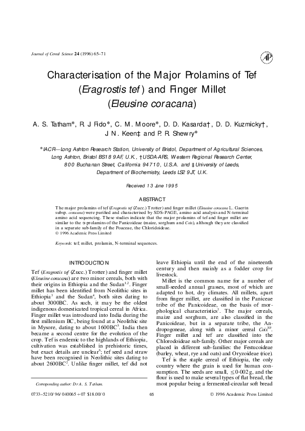 (PDF) Characterisation of the Major Prolamins of Tef (Eragrostis tef ...