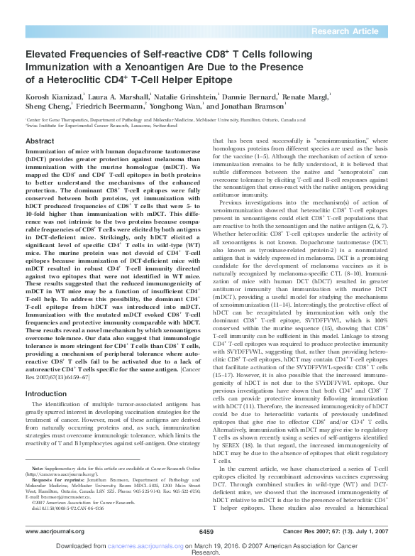 (PDF) Elevated Frequencies of Self-reactive CD8+ T Cells following ...