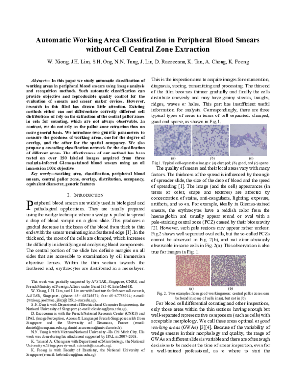 (PDF) Automatic working area classification in peripheral blood smears ...