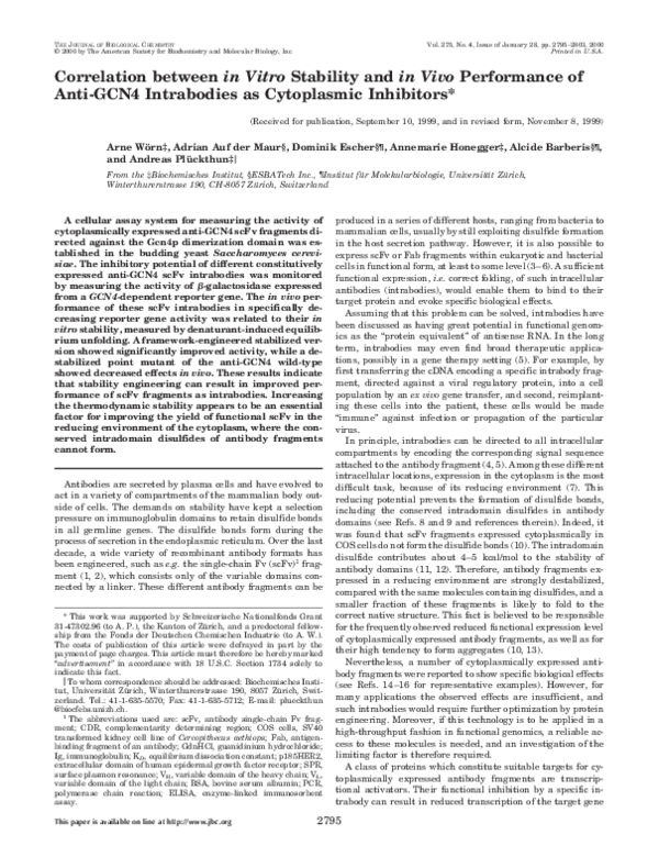 Correlation between in vitro stability and in vivo performance of anti ...