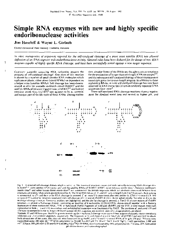 (PDF) Simple RNA enzymes with new and highly specific endoribonuclease ...
