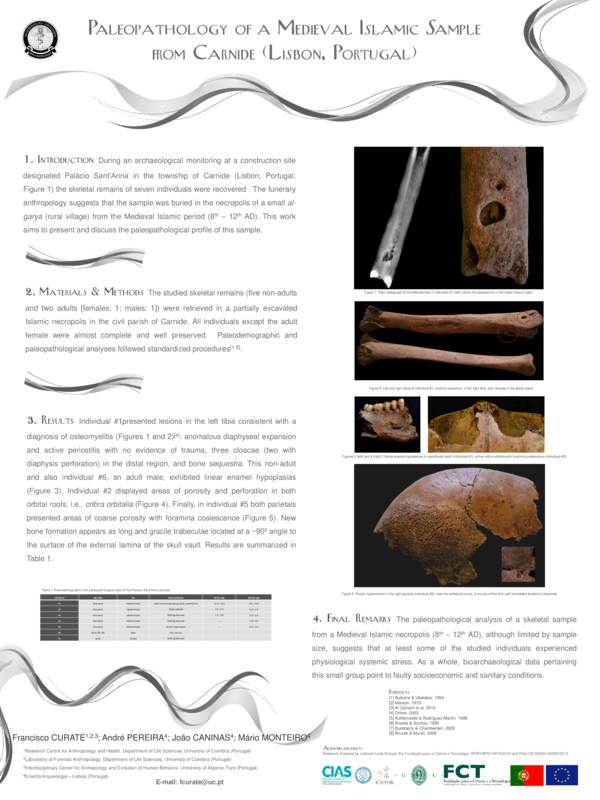 (PDF) Paleopathology of a Medieval Islamic Sample from Carnide (Lisbon ...