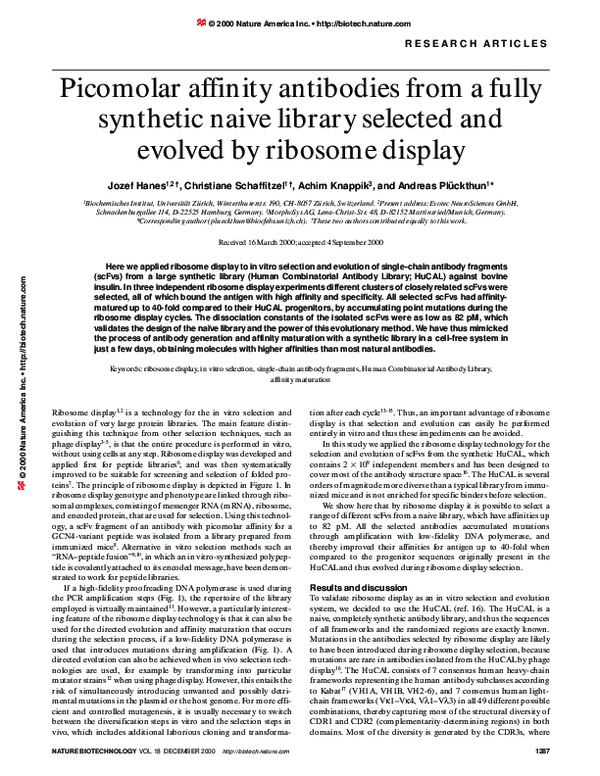 Picomolar affinity antibodies from a fully synthetic naive library ...