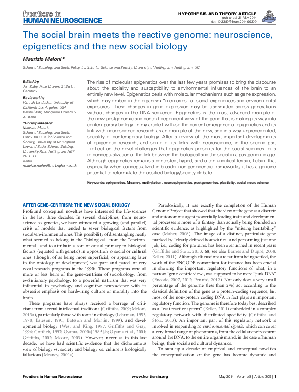 (PDF) The Social Brain Meets the Reactive Genome: Neuroscience ...