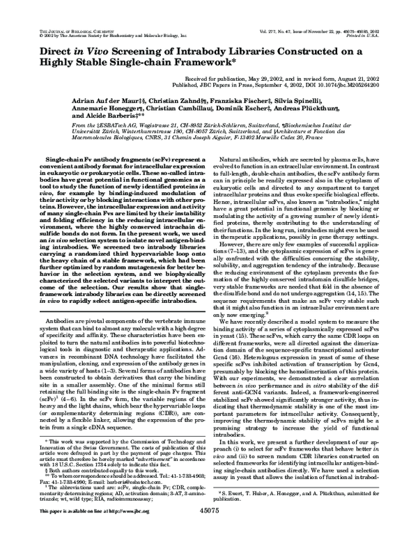 Direct in vivo screening of intrabody libraries constructed on a highly ...
