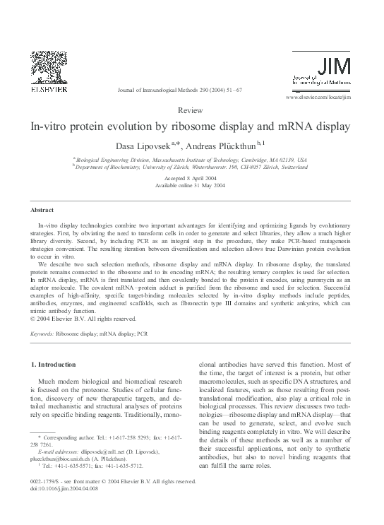 In-vitro protein evolution by ribosome display and mRNA display ...