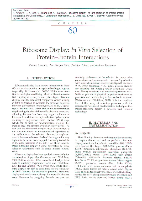 Ribosome Display: In Vitro Selection of Protein-Protein Interactions