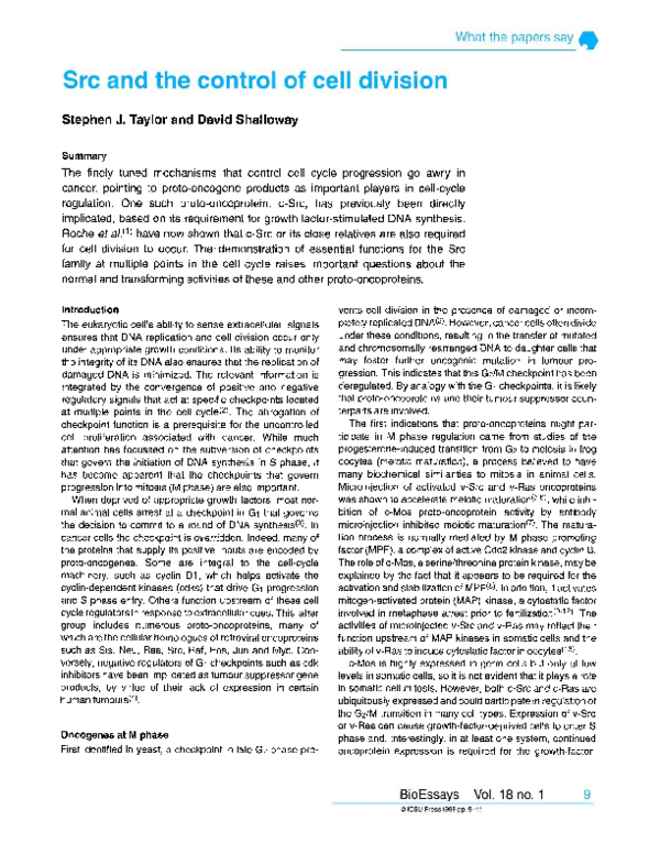 (PDF) Src and the control of cell division