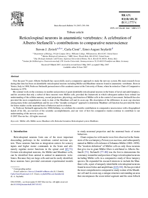(PDF) Reticulospinal neurons in anamniotic vertebrates: A celebration ...