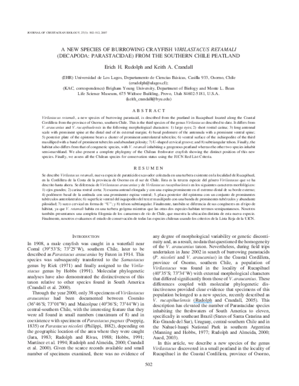 (PDF) A New Species of Burrowing Crayfish Virilastacus Retamali ...