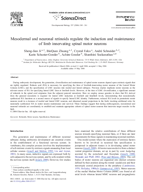 Pdf Mesodermal And Neuronal Retinoids Regulate The Induction And