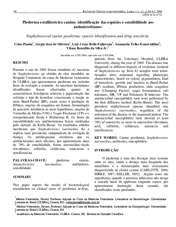 (PDF) Staphylococcal canine pyoderma: species identification and drug ...