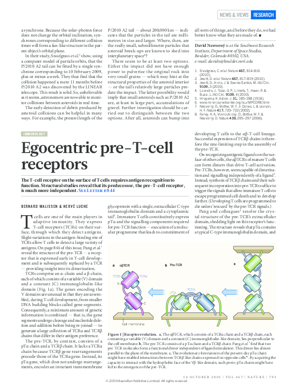 (PDF) Immunology: Egocentric pre-T-cell receptors