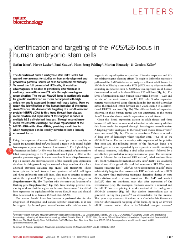 (PDF) Identification and targeting of the ROSA26 locus in human ...