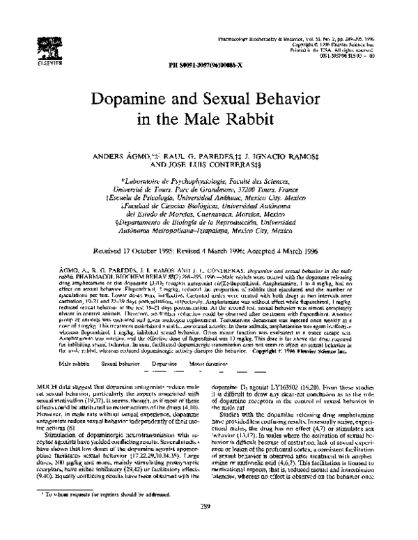 (PDF) Dopamine and sexual behavior in the male rabbit