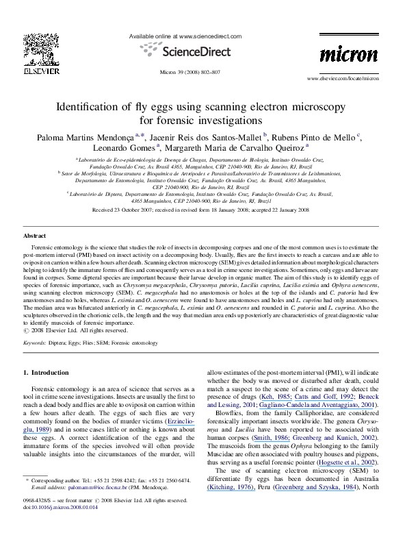 (PDF) Identification of fly eggs using scanning electron microscopy for ...