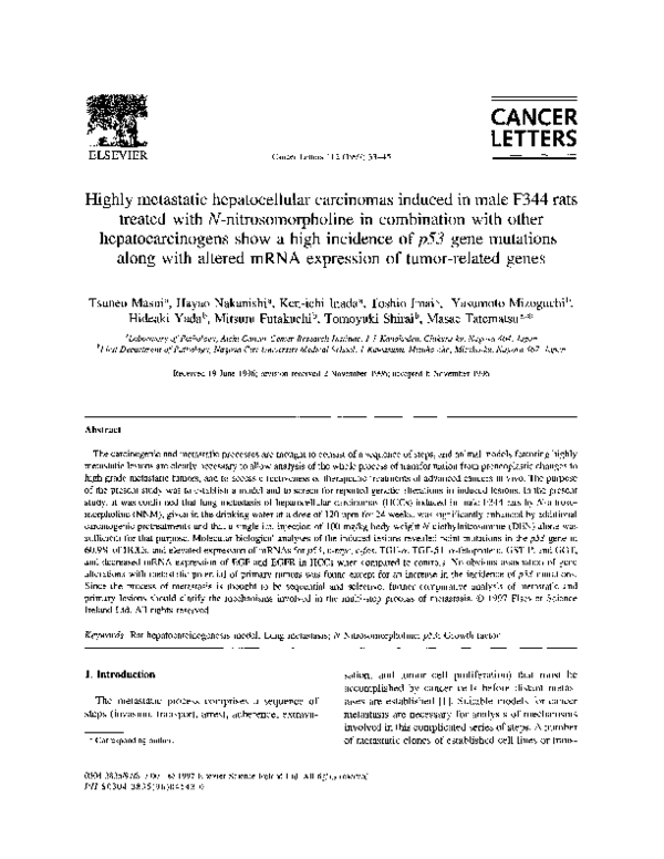 (PDF) Highly metastatic hepatocellular carcinomas induced in male F344 ...