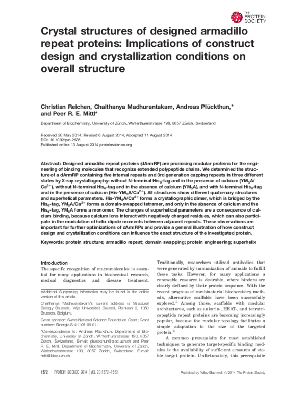 Crystal structures of designed armadillo repeat proteins: Implications ...