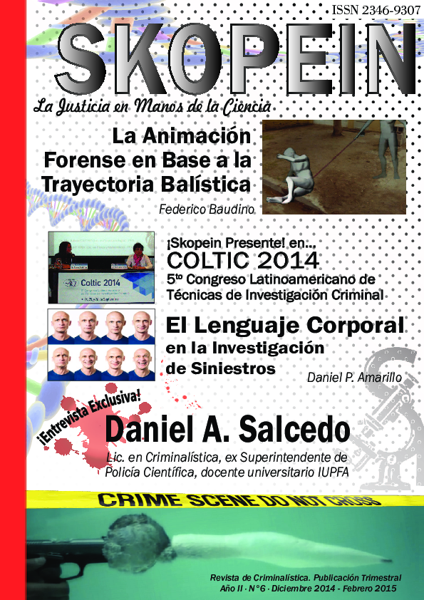 (PDF) Revista Skopein N° 6 - Diciembre 2014 | Revista Skopein ...