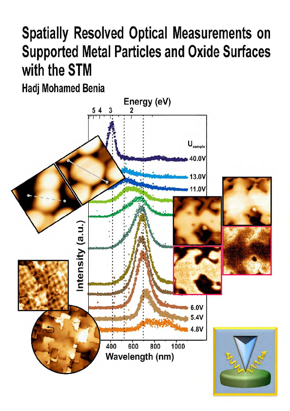 (PDF) Spatially resolved optical measurements on supported metal ...